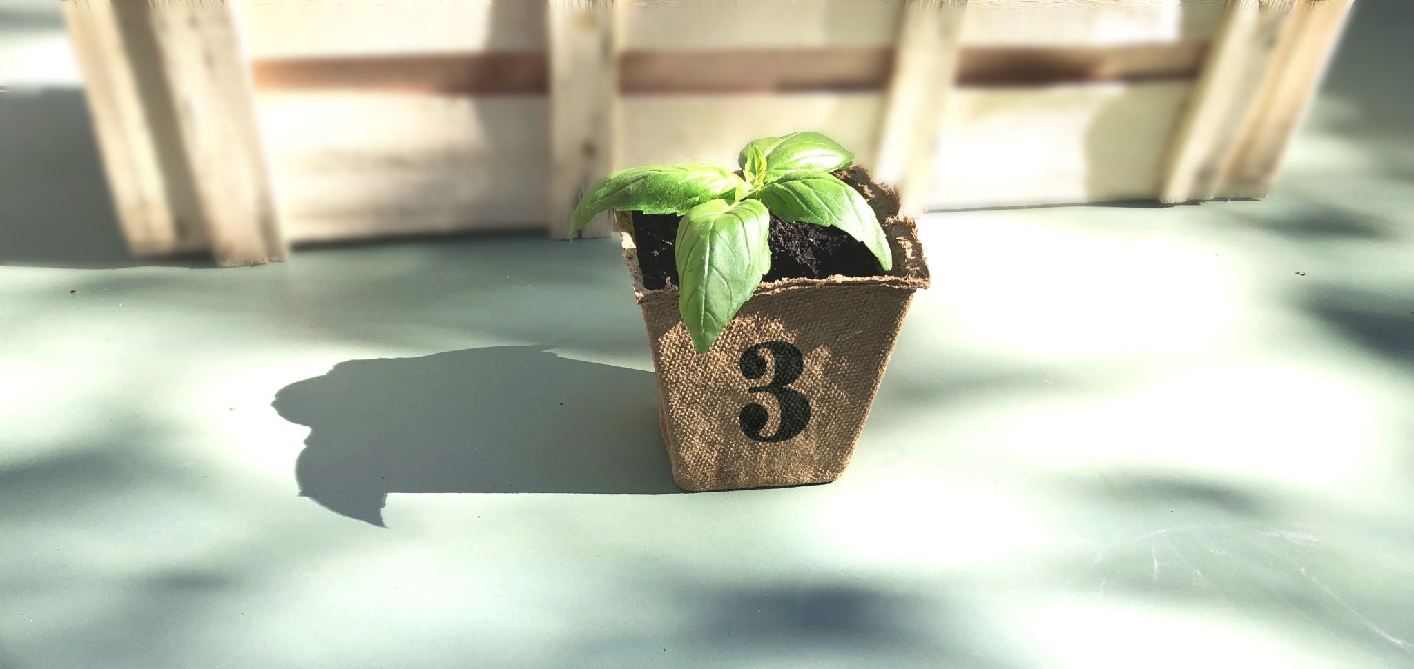 Module 3 -Les bases de la CNV-Pratique du Dialogue - Formation en CNV