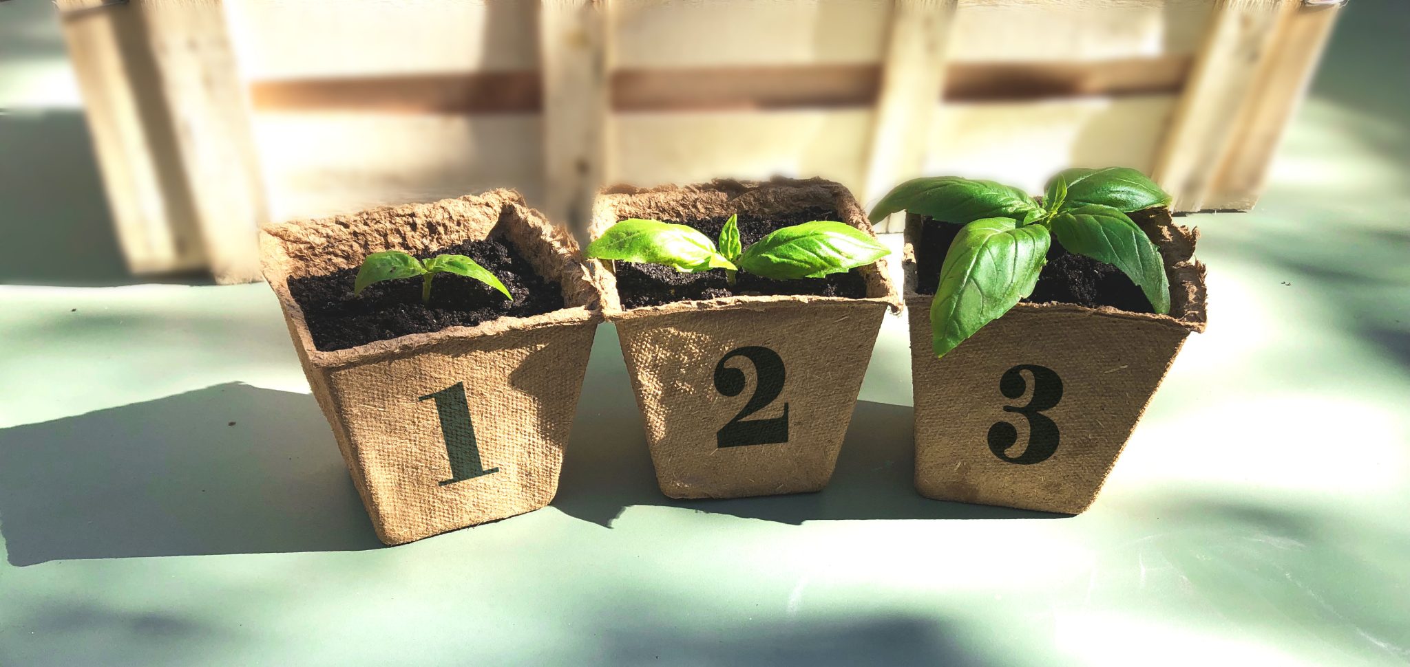 Cursus de 6 jours -Entreprise – cursus SUP – 9, 10, 11 fev 2026 ...